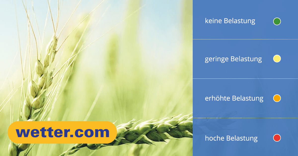 Aktueller Pollenflug für Deutschland | wetter.com